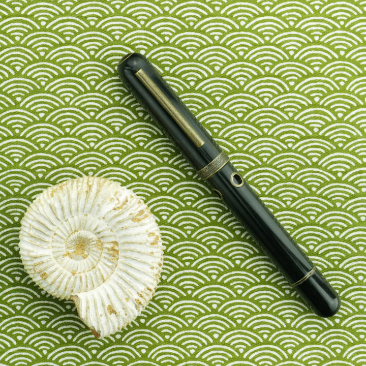First new pen in 2022